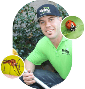Trusted Pest Control Company in Sacramento | Finley Pest Control