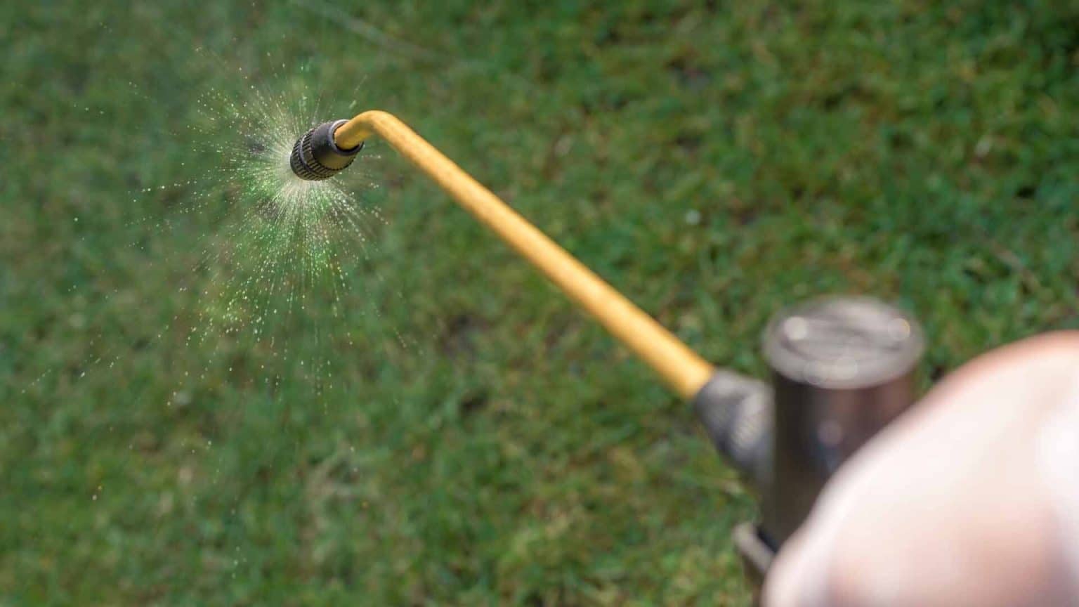 How to Control Fleas in Your Yard Using Mulch and Landscaping